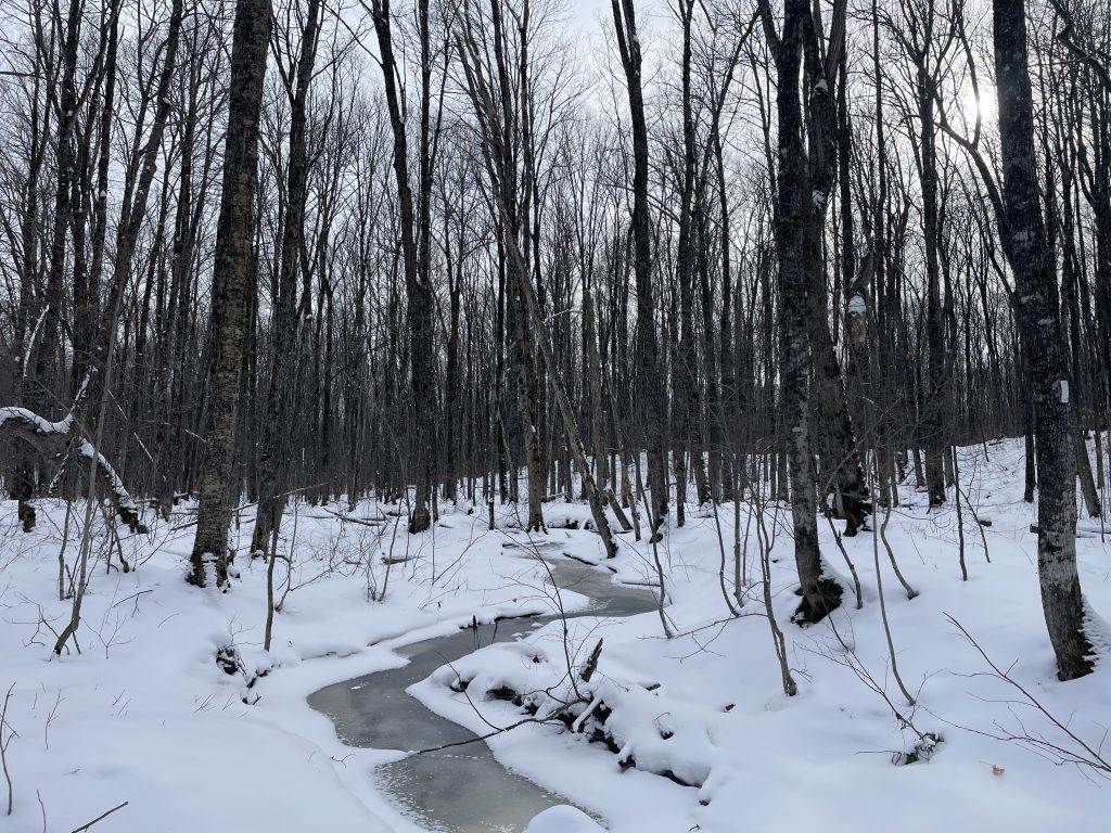 Home - Bergland Township - Upper Peninsula Of Michigan